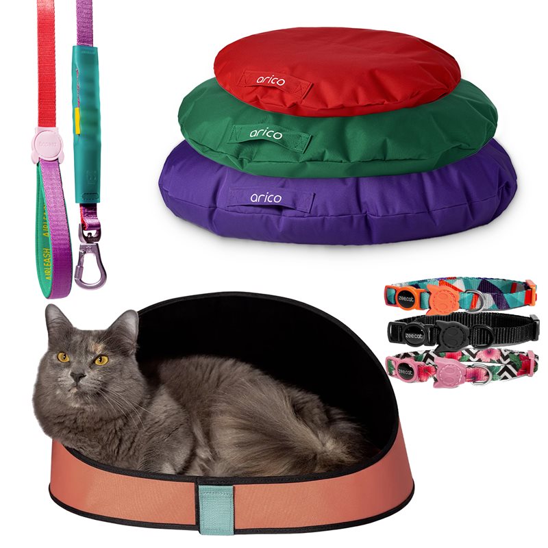 Accessoires pour chats